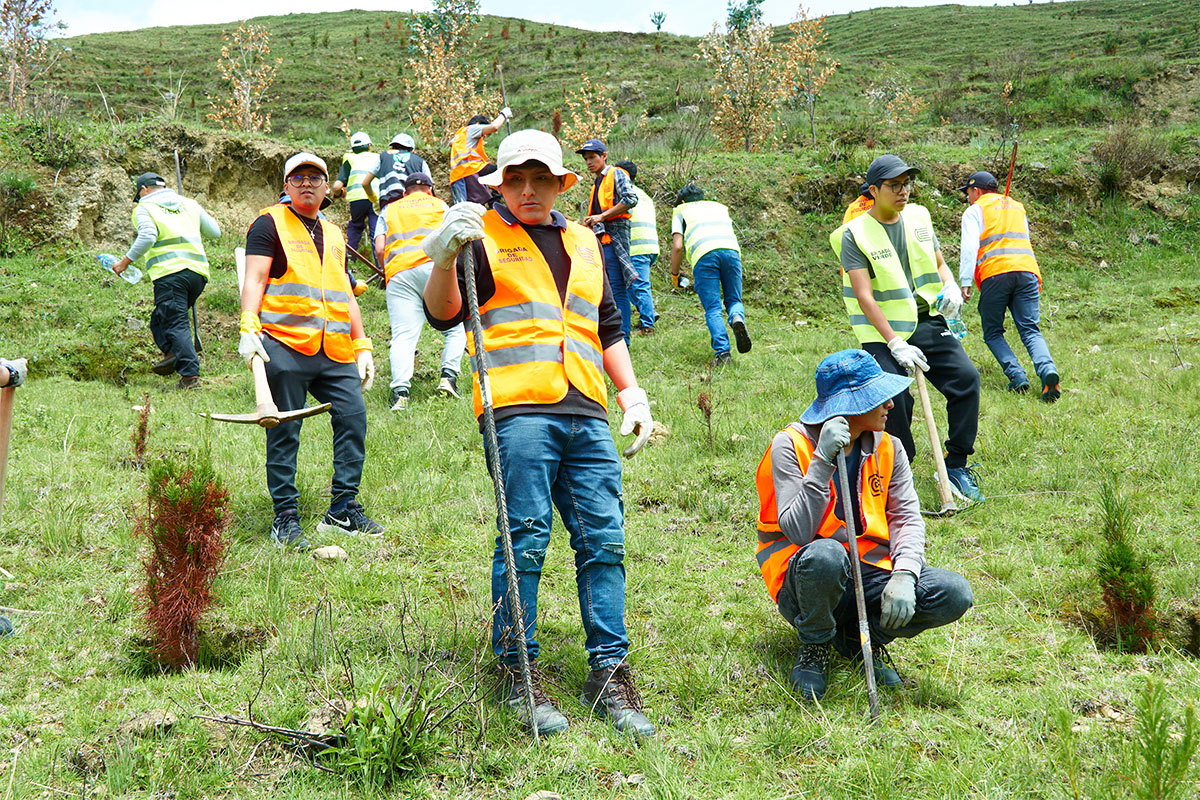 Reforestación UC Ingenio - Portal del Estudiante de la Universidad ...